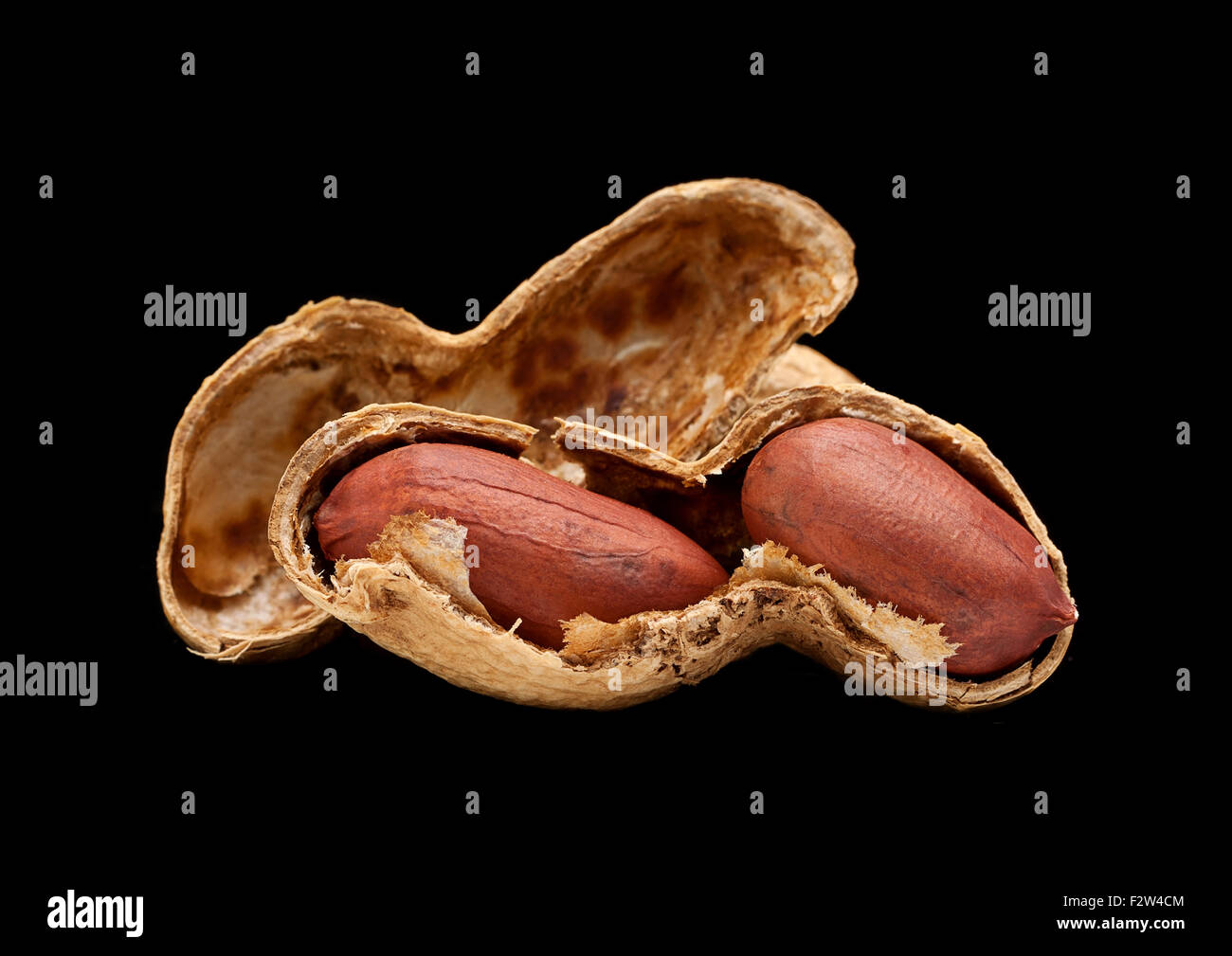 Mit erdnuss -Fotos und -Bildmaterial in hoher Auflösung – Alamy
