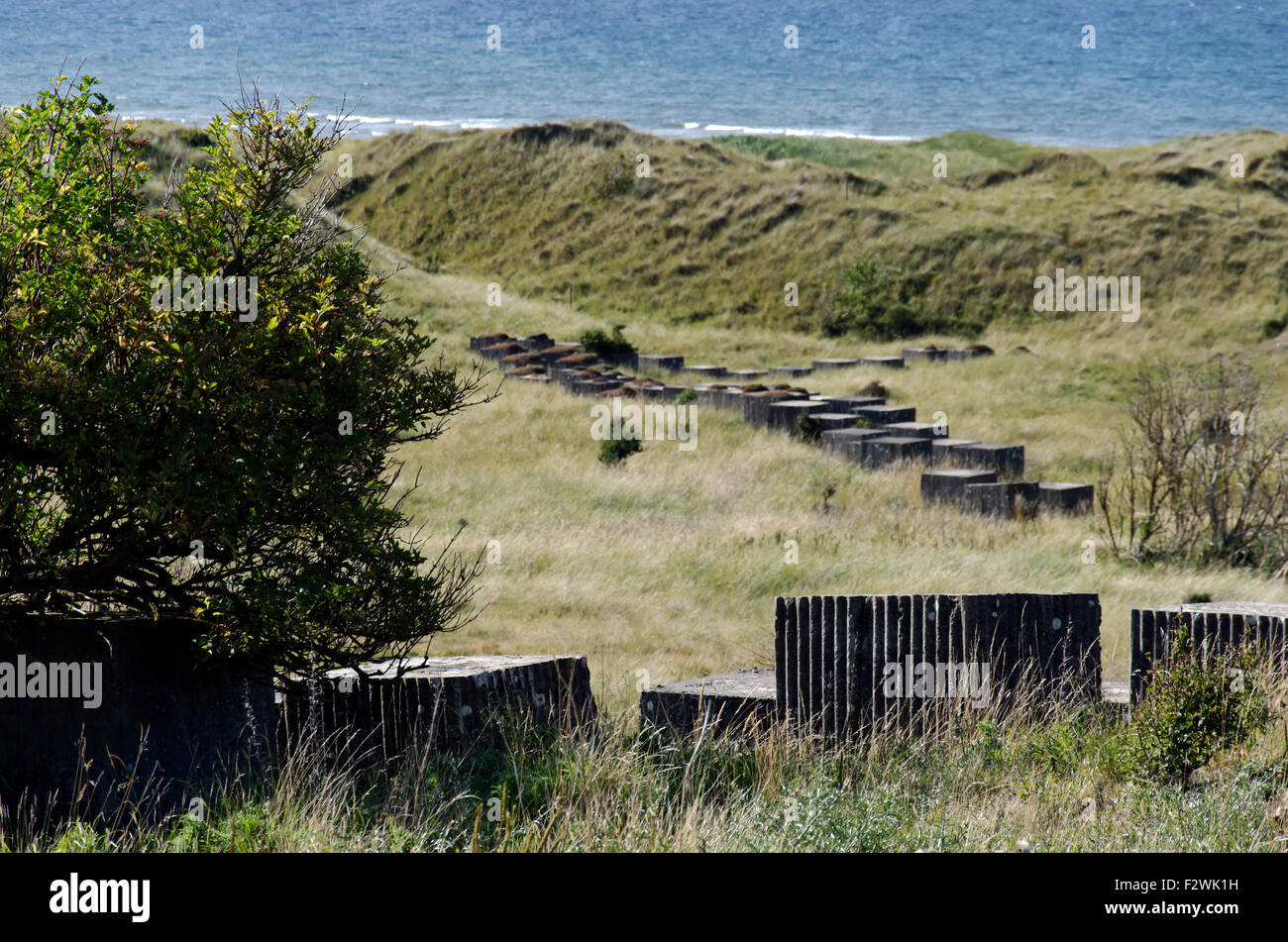 Beton anti-Tank Blöcke am Strand hinter Bay in East Lothian ...