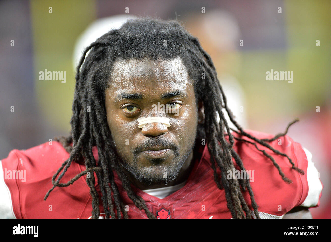 26. September 2015: Arkansas Razorbacks Runningback Alex Collins (3 ...