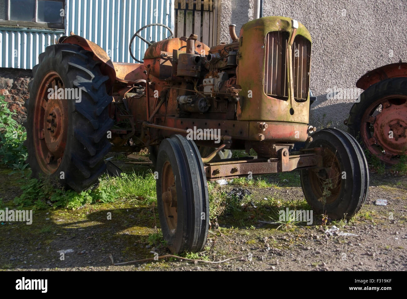 Nuffield Universal Four Modell Traktor maroden 1950 Stockfotografie - Alamy