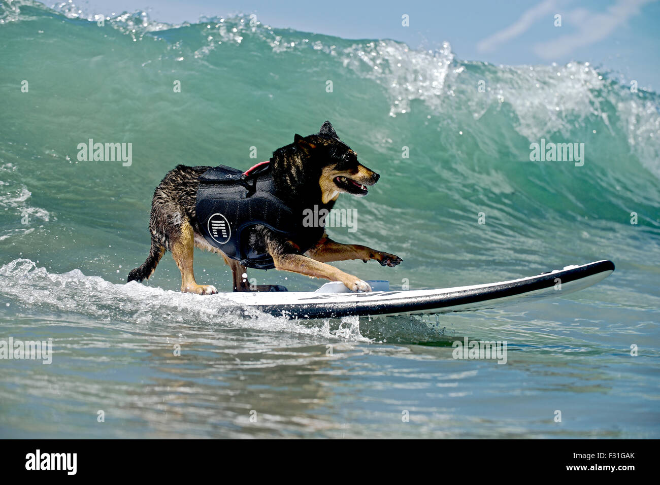Pazifische verschiebung -Fotos und -Bildmaterial in hoher Auflösung – Alamy
