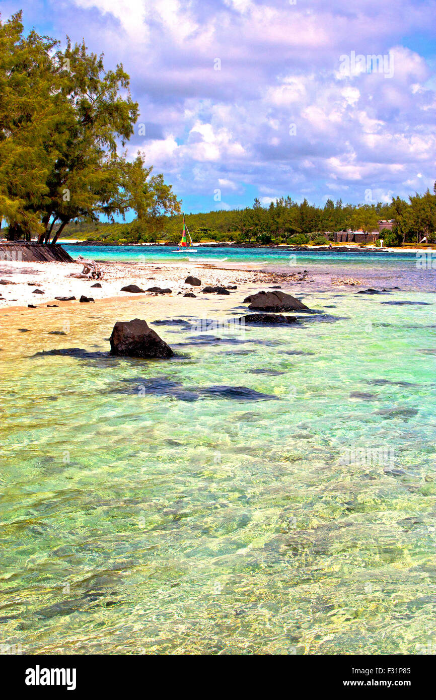 die Sansibar Strand Algen im Indischen Ozean Tansania sand Insel Himmel ...