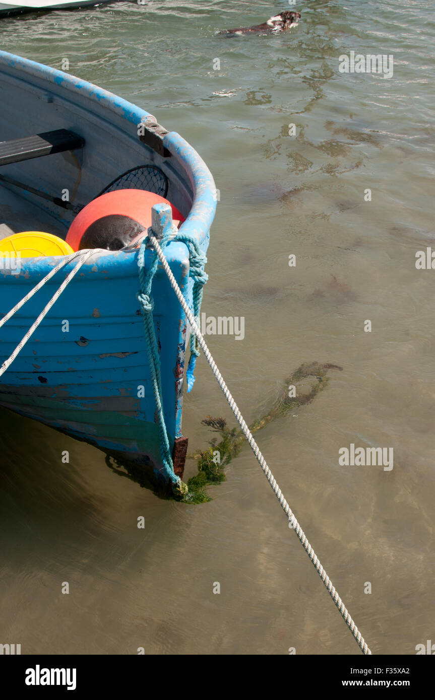 Schwimmendes seil -Fotos und -Bildmaterial in hoher Auflösung – Alamy