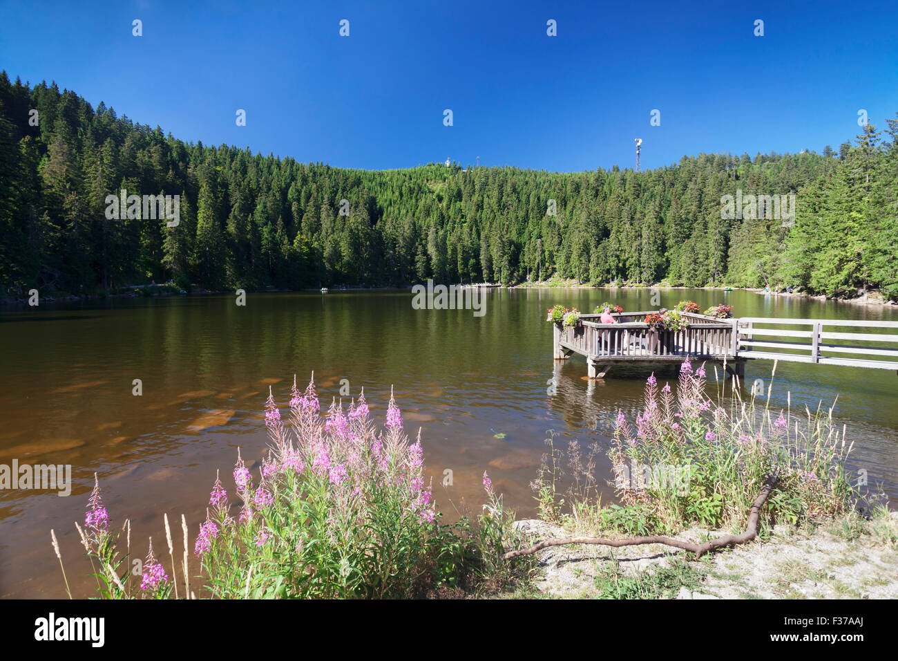 Mummelsee Schwarzwald Stockfotos und -bilder Kaufen - Alamy