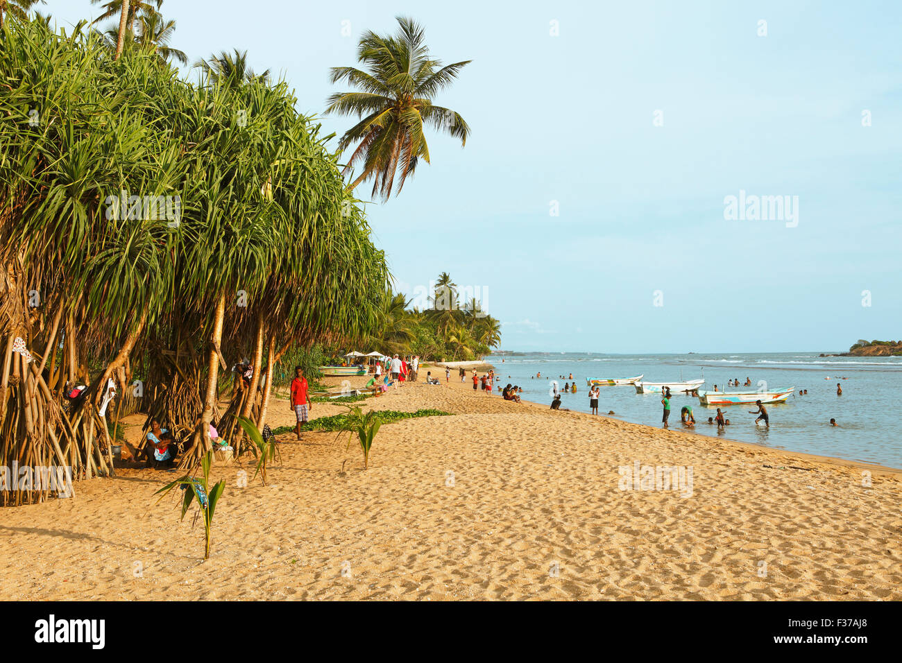 Strand, gesäumt von Palmen, Beruwela, Western Province, Indischer Ozean ...