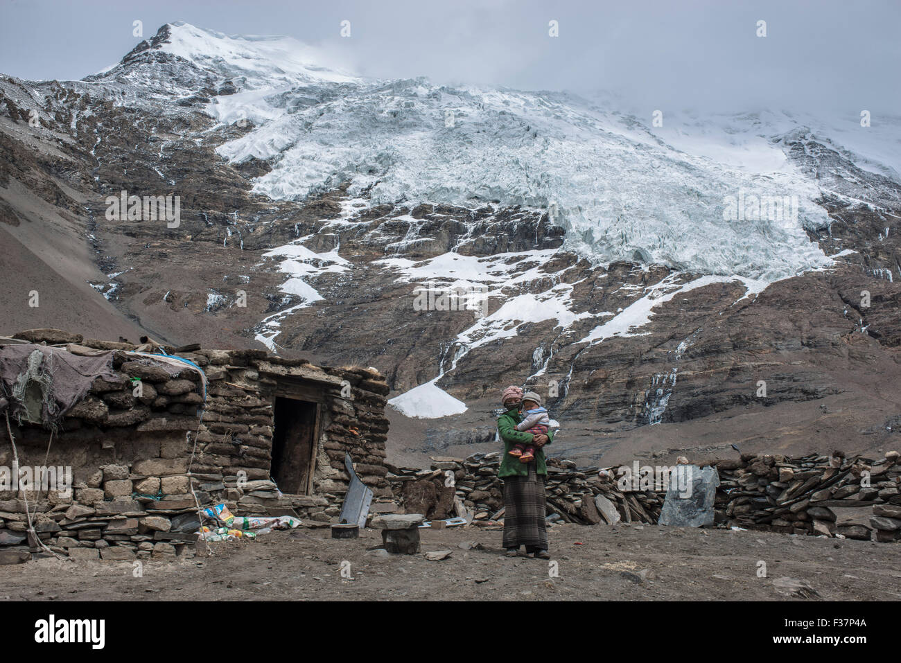 Tibetan yak farm -Fotos und -Bildmaterial in hoher Auflösung – Alamy