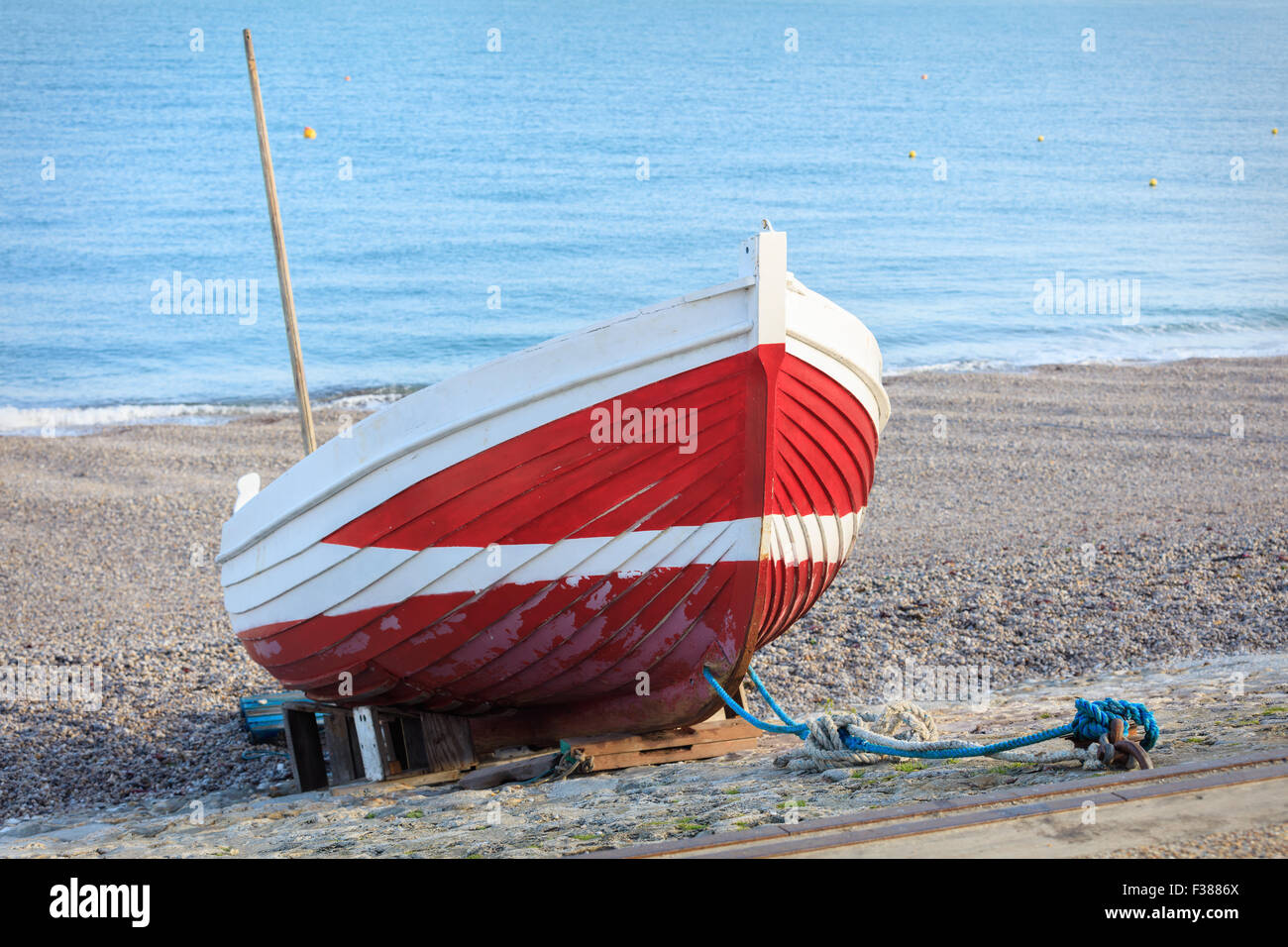 Rot aval -Fotos und -Bildmaterial in hoher Auflösung – Alamy