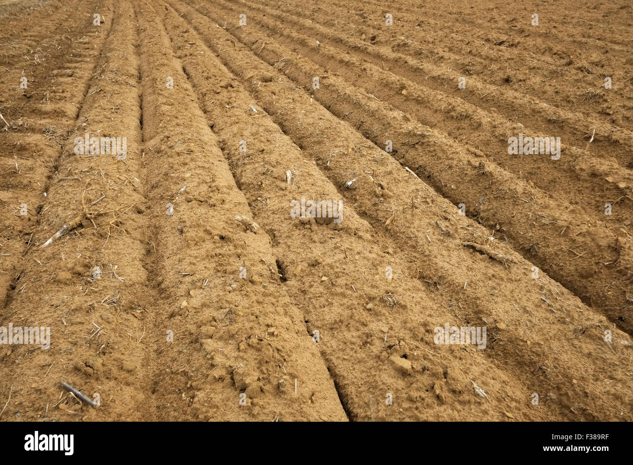 Furchen im feld -Fotos und -Bildmaterial in hoher Auflösung – Alamy