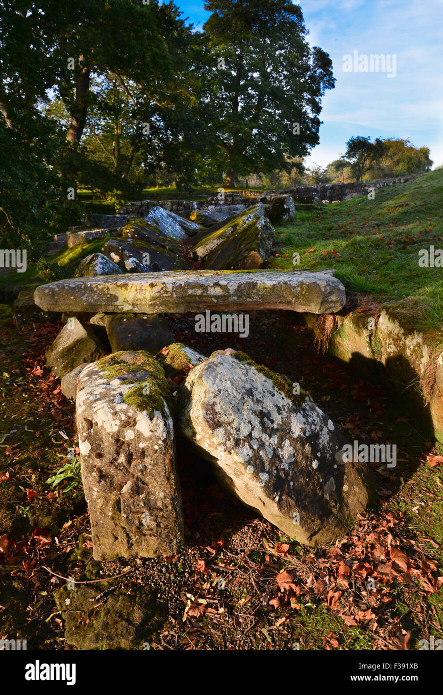 Chollerford chesters -Fotos und -Bildmaterial in hoher Auflösung – Alamy