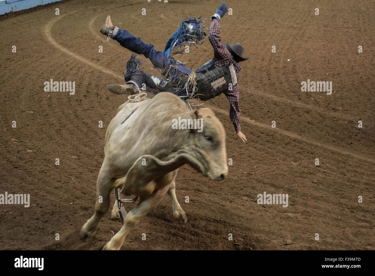 Bull riding bullriding rodeo -Fotos und -Bildmaterial in hoher ...