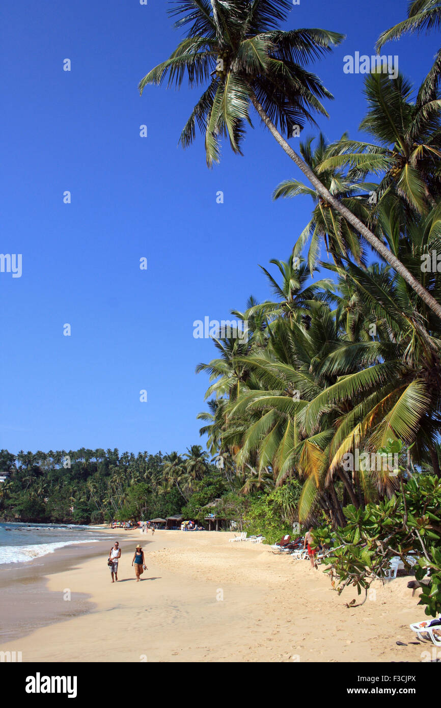 Forrest strand -Fotos und -Bildmaterial in hoher Auflösung – Alamy