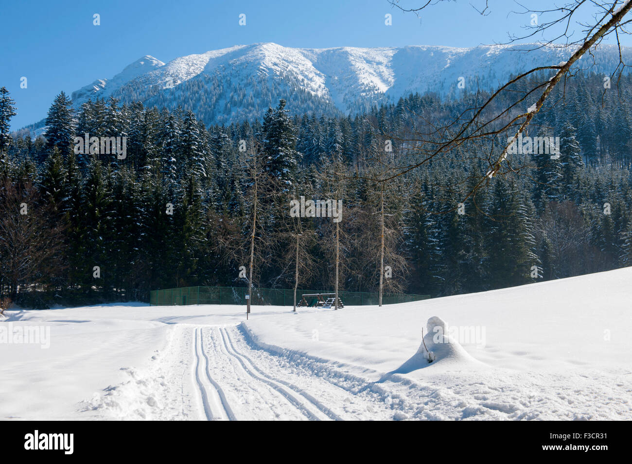 Österreich, Niederösterreich, Lackenhof am Ötscher, Ötscher, Loipe ...