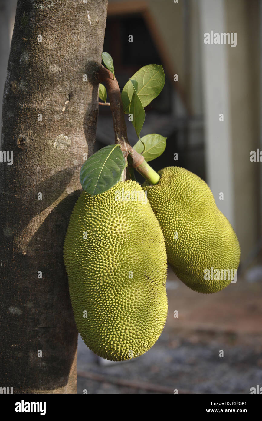 Sein englischer name -Fotos und -Bildmaterial in hoher Auflösung – Alamy