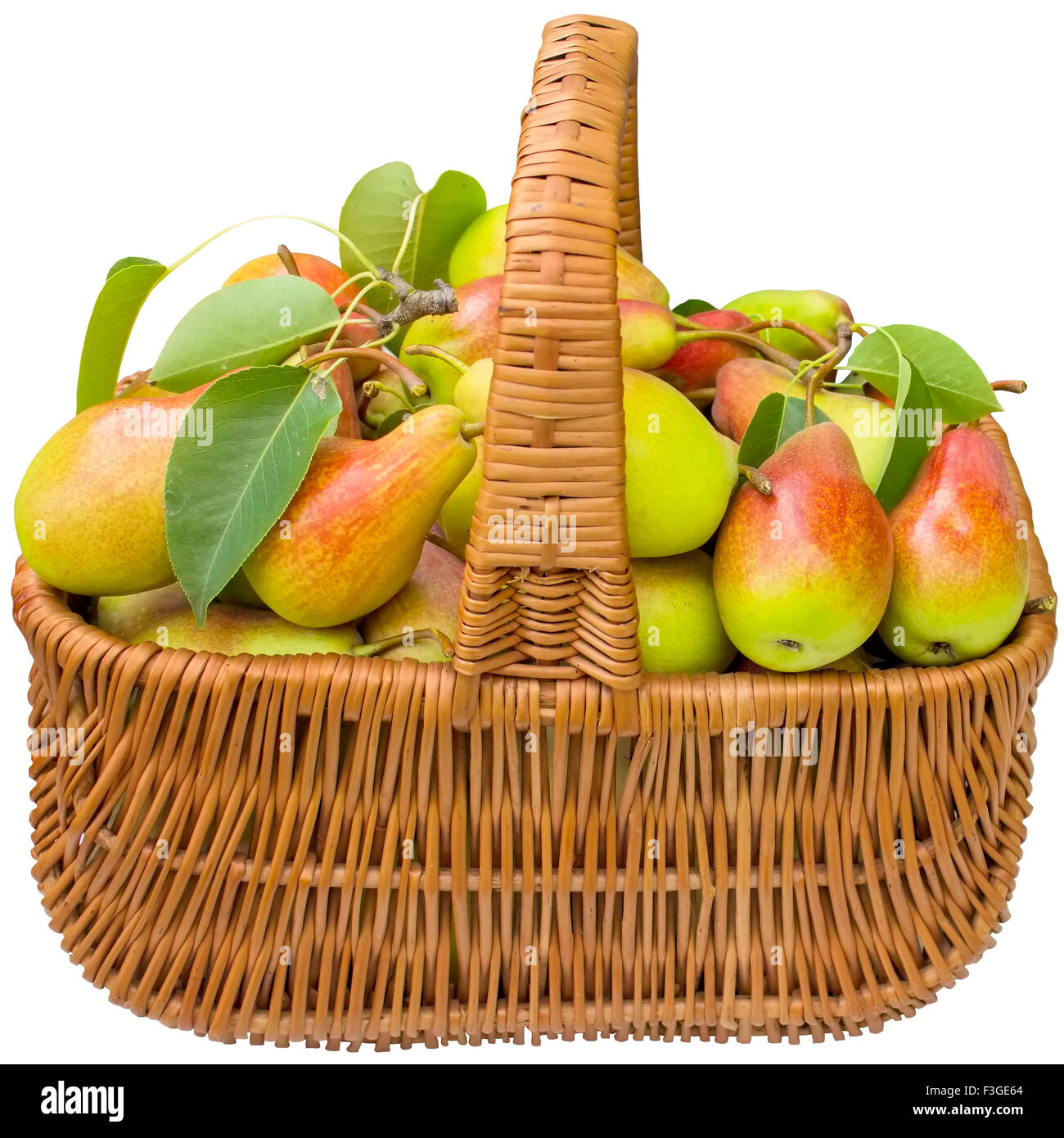 Birne fruit -Fotos und -Bildmaterial in hoher Auflösung – Alamy
