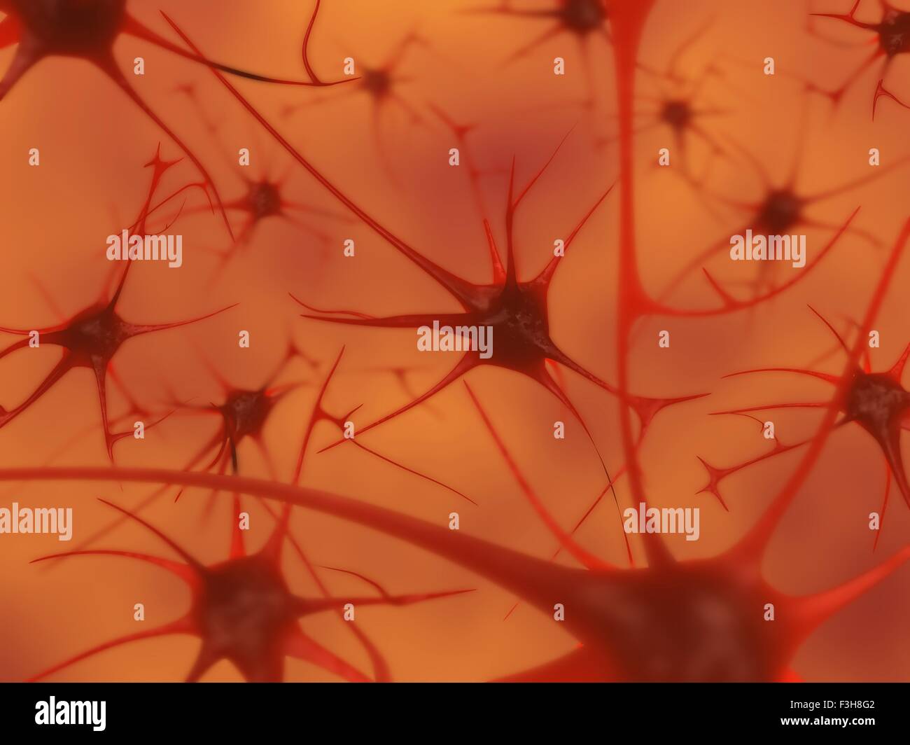 3D Darstellung der Nervenzellen im Gehirn Stockfotografie - Alamy