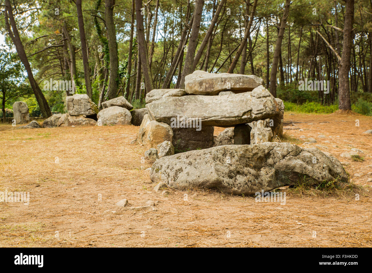 Manene ritual -Fotos und -Bildmaterial in hoher Auflösung – Alamy