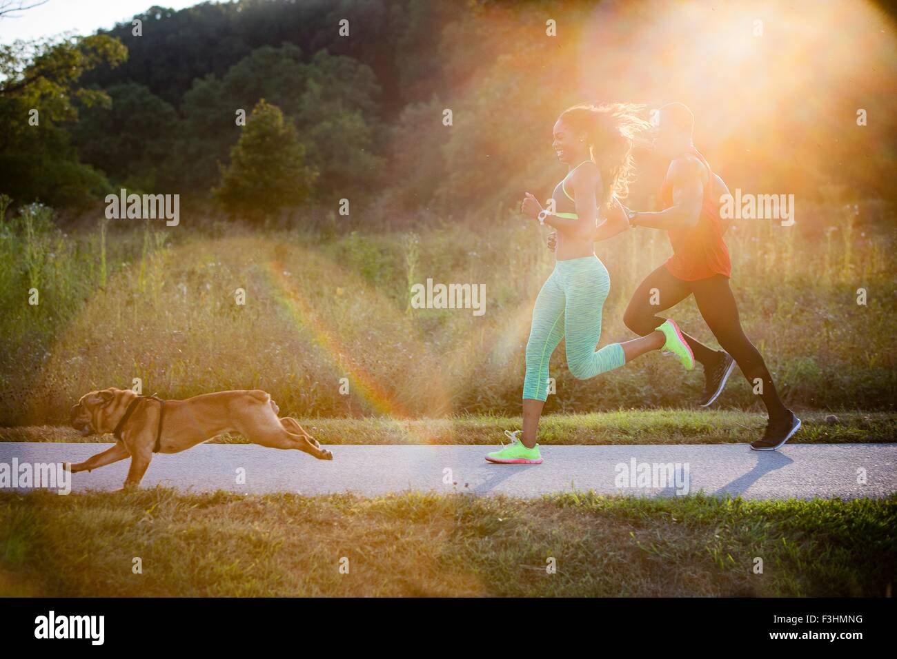 Teamarbeit im park -Fotos und -Bildmaterial in hoher Auflösung – Alamy