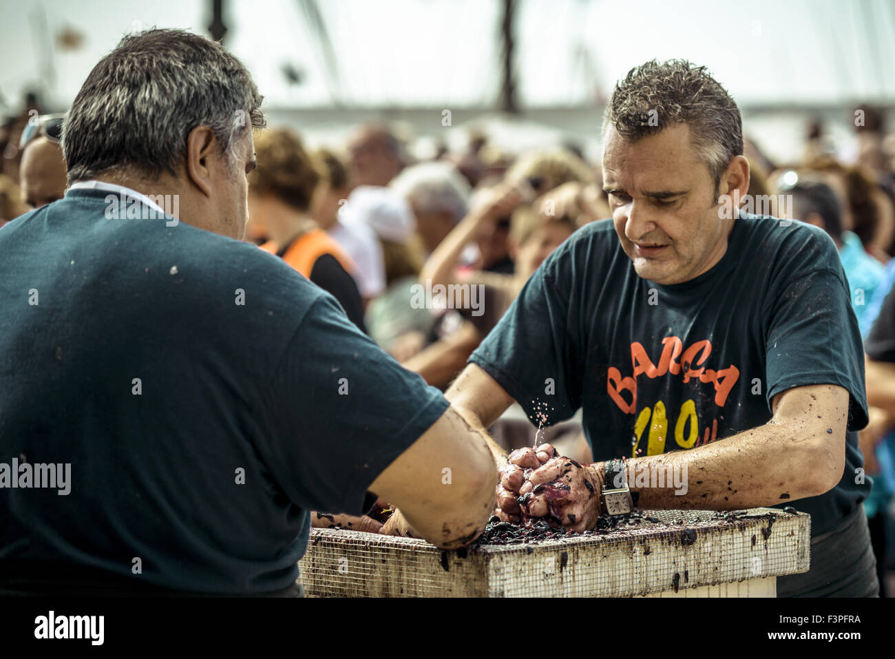Trauben stampfen -Fotos und -Bildmaterial in hoher Auflösung – Alamy