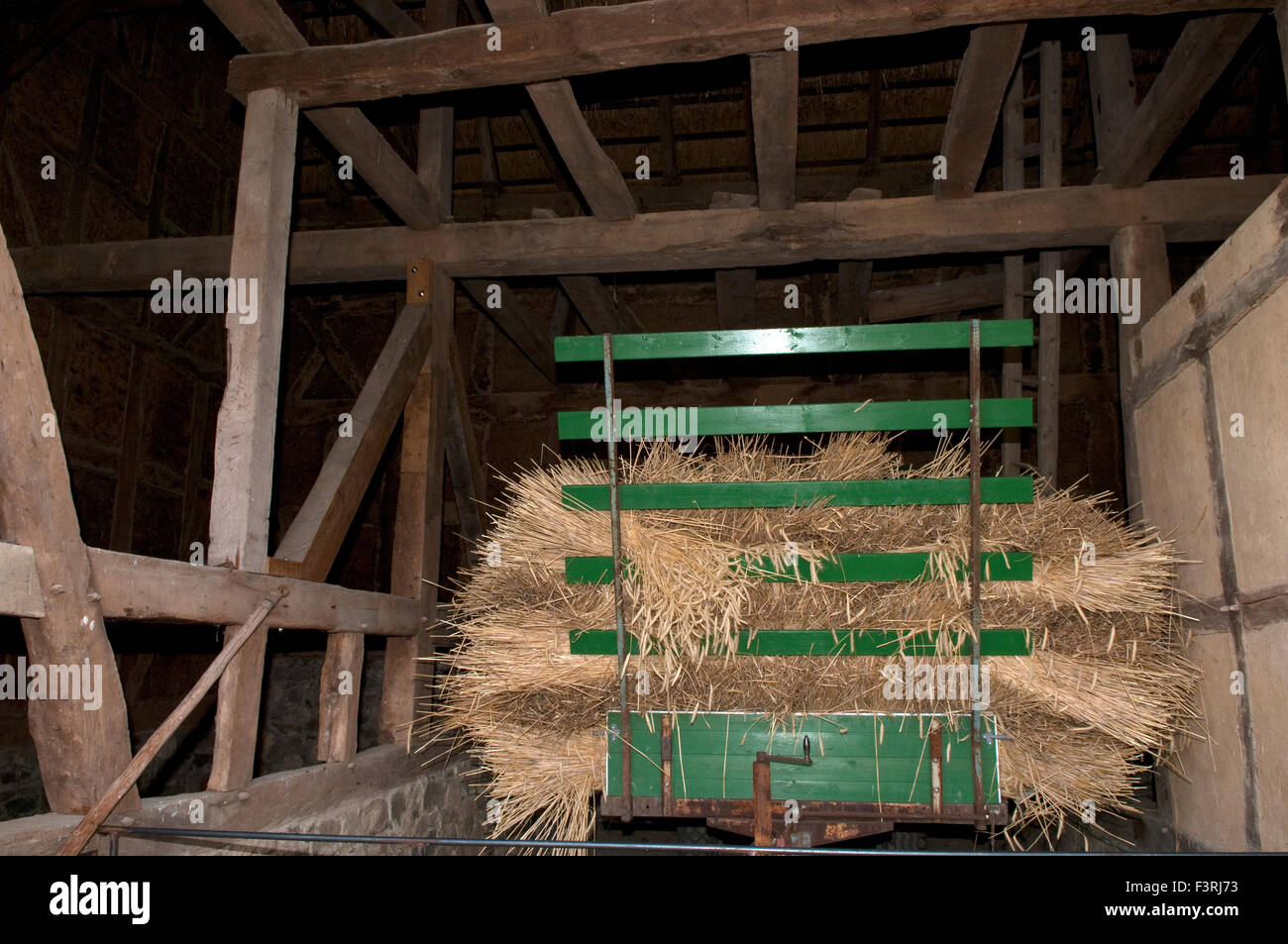 Getreide getreidekoerner -Fotos und -Bildmaterial in hoher Auflösung ...