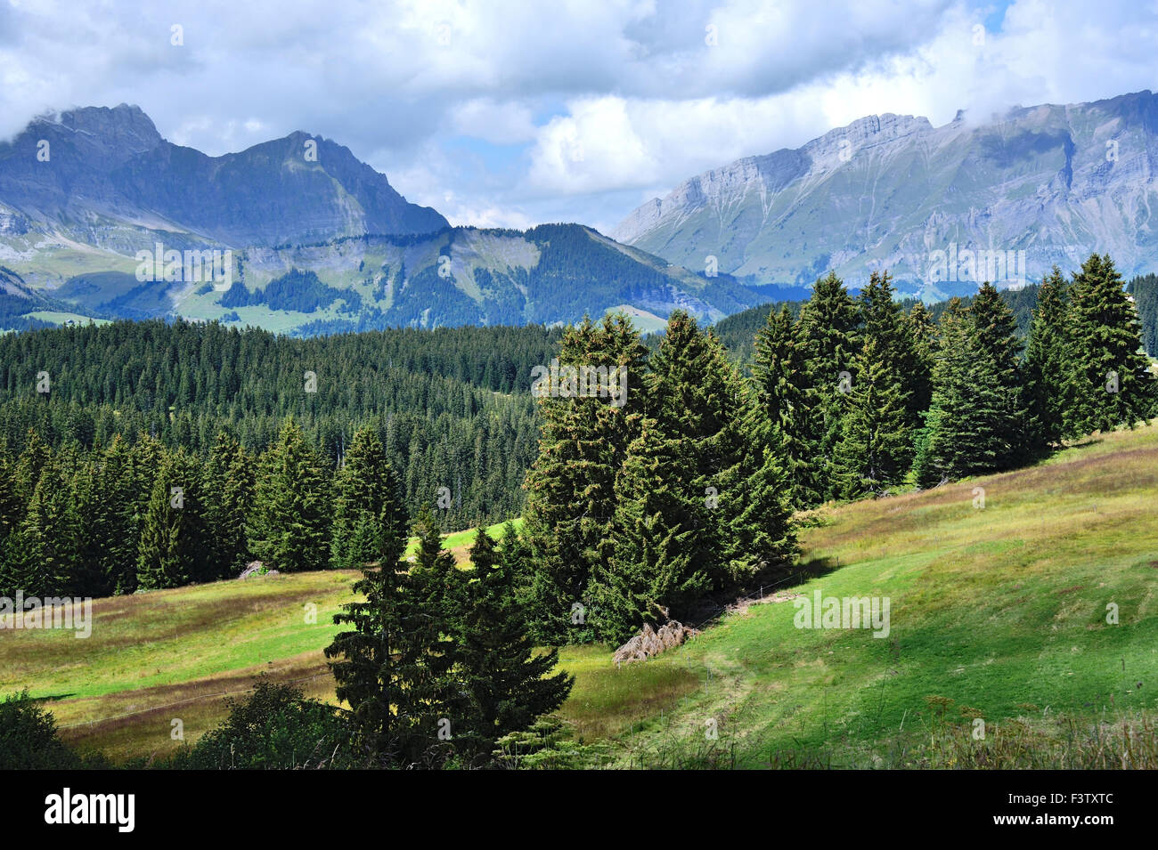 Blick auf die Chaine des Aravis am Col des Saisies, Pass von der Route ...