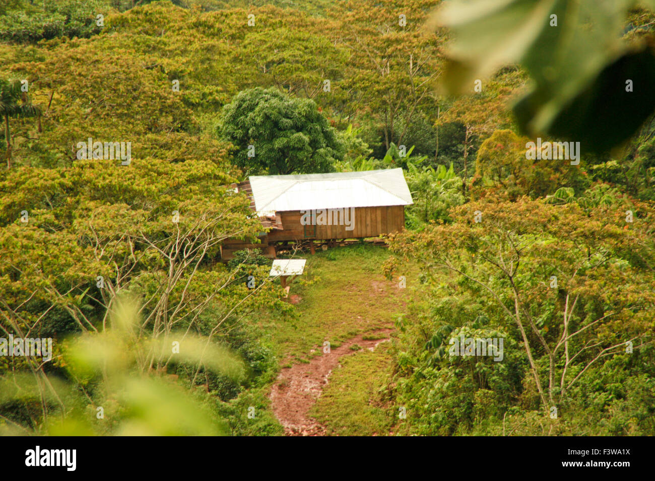 Rain Forest Amazonas Stockfotos und -bilder Kaufen - Alamy