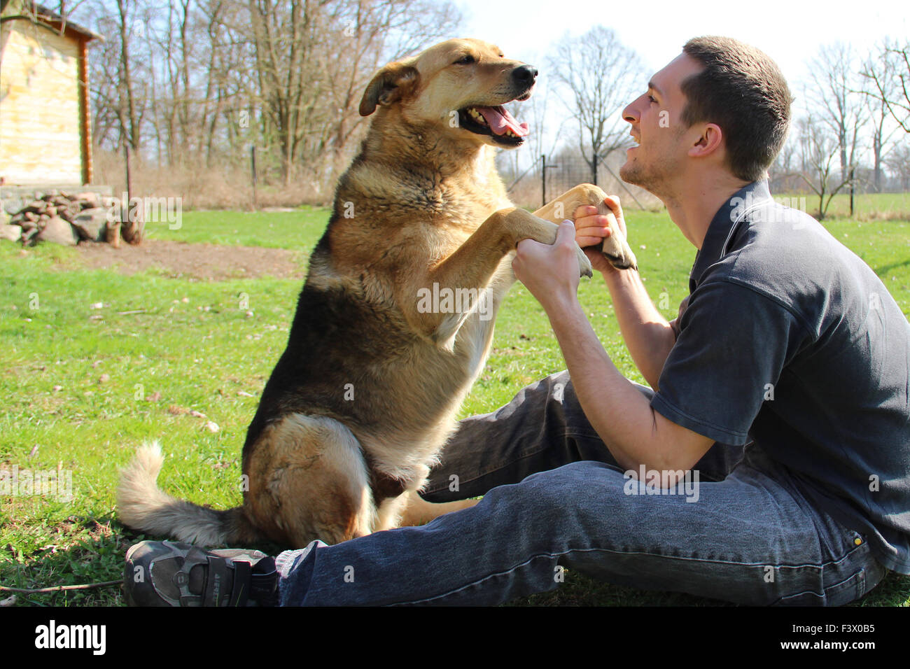 Dog models -Fotos und -Bildmaterial in hoher Auflösung – Alamy