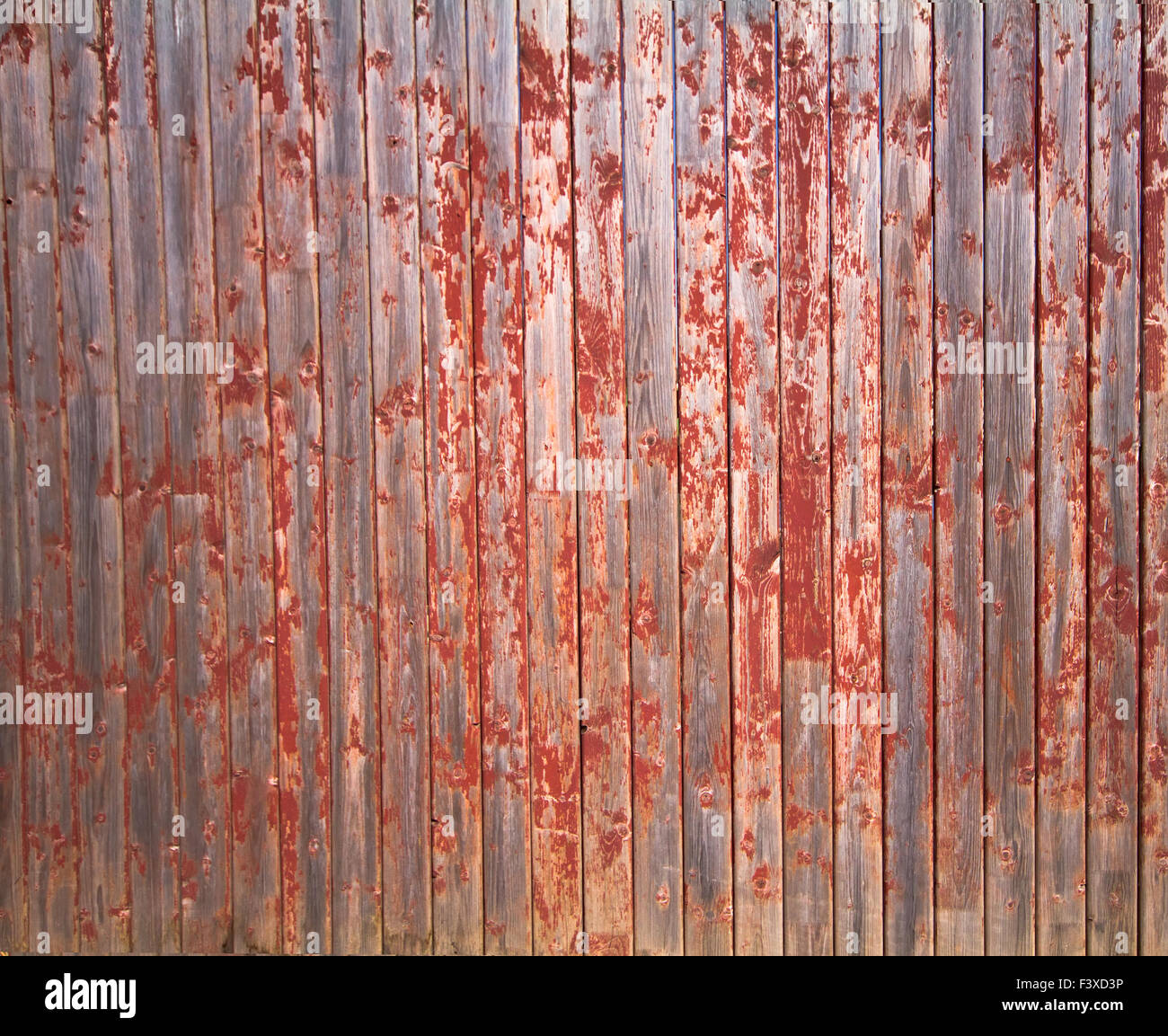 Eiche texturen -Fotos und -Bildmaterial in hoher Auflösung – Alamy