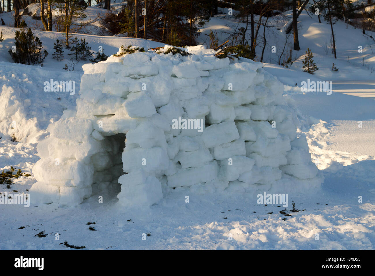 Igloo building -Fotos und -Bildmaterial in hoher Auflösung – Alamy