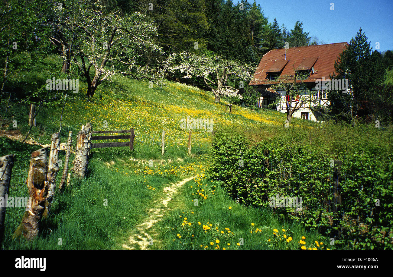Gelbes bauernhaus -Fotos und -Bildmaterial in hoher Auflösung – Alamy