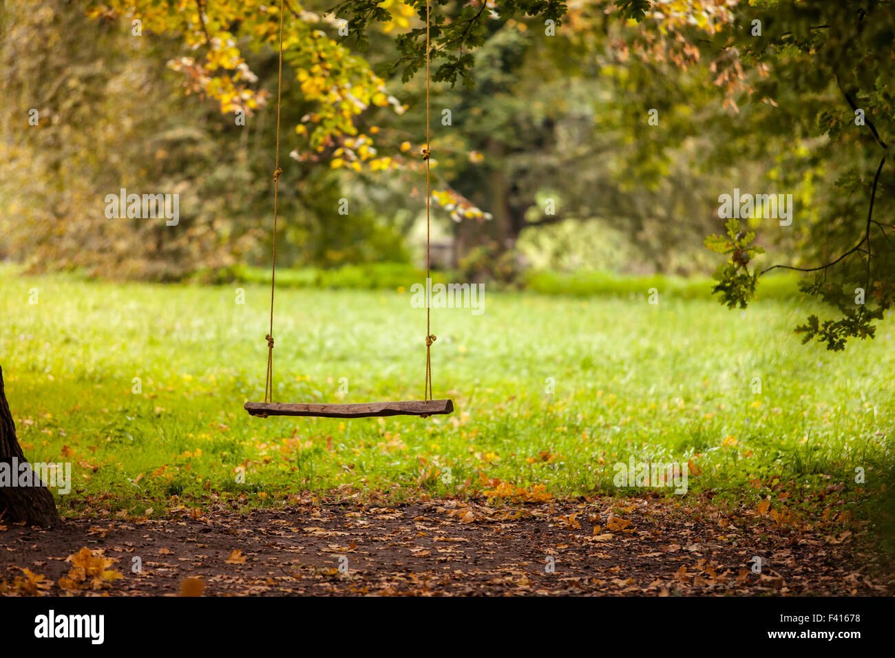 Schaukel im baum -Fotos und -Bildmaterial in hoher Auflösung – Alamy