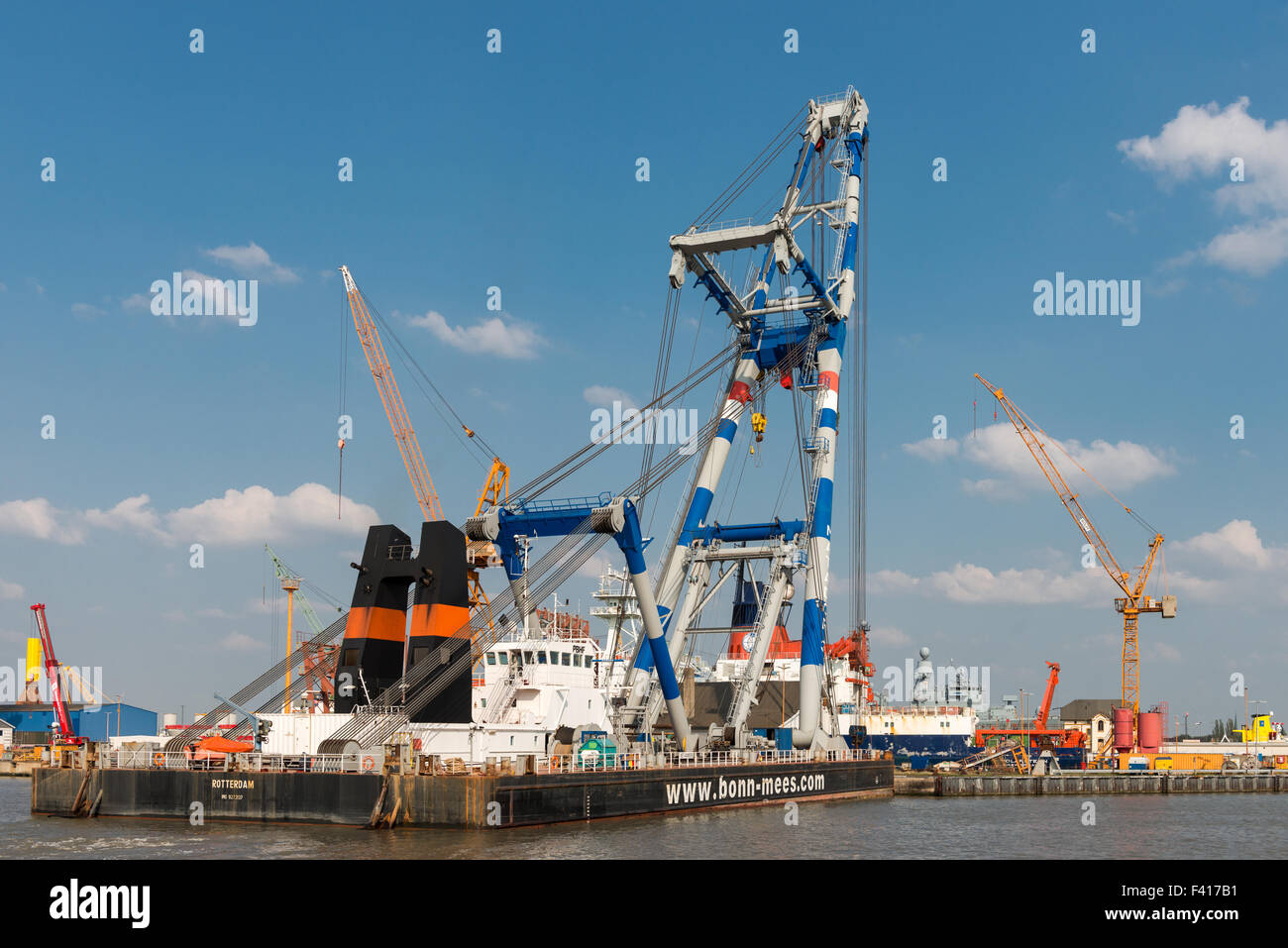 Schwammkran matador 3 -Fotos und -Bildmaterial in hoher Auflösung – Alamy