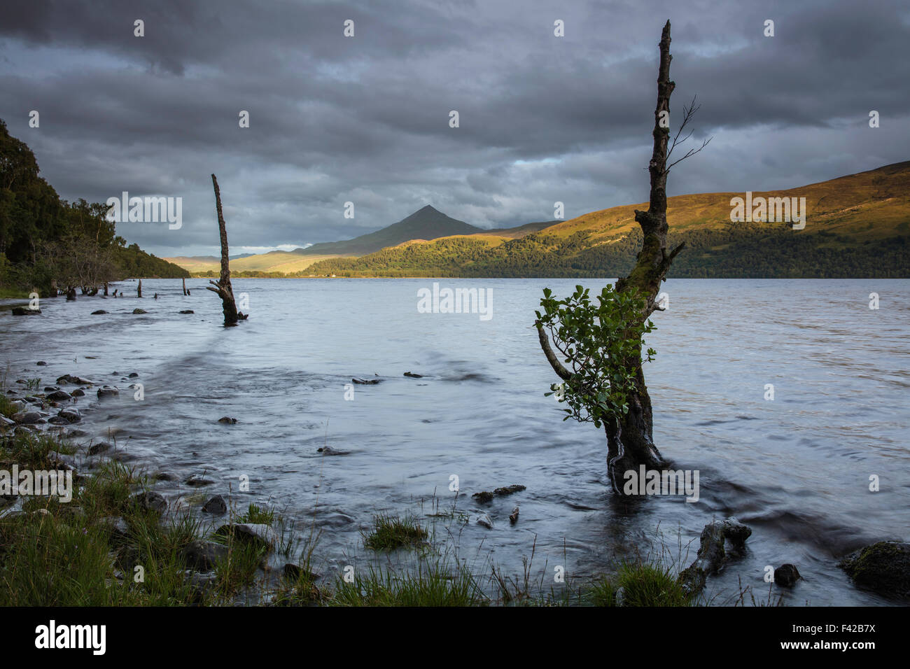 Perth perth und kinross schottland -Fotos und -Bildmaterial in hoher ...