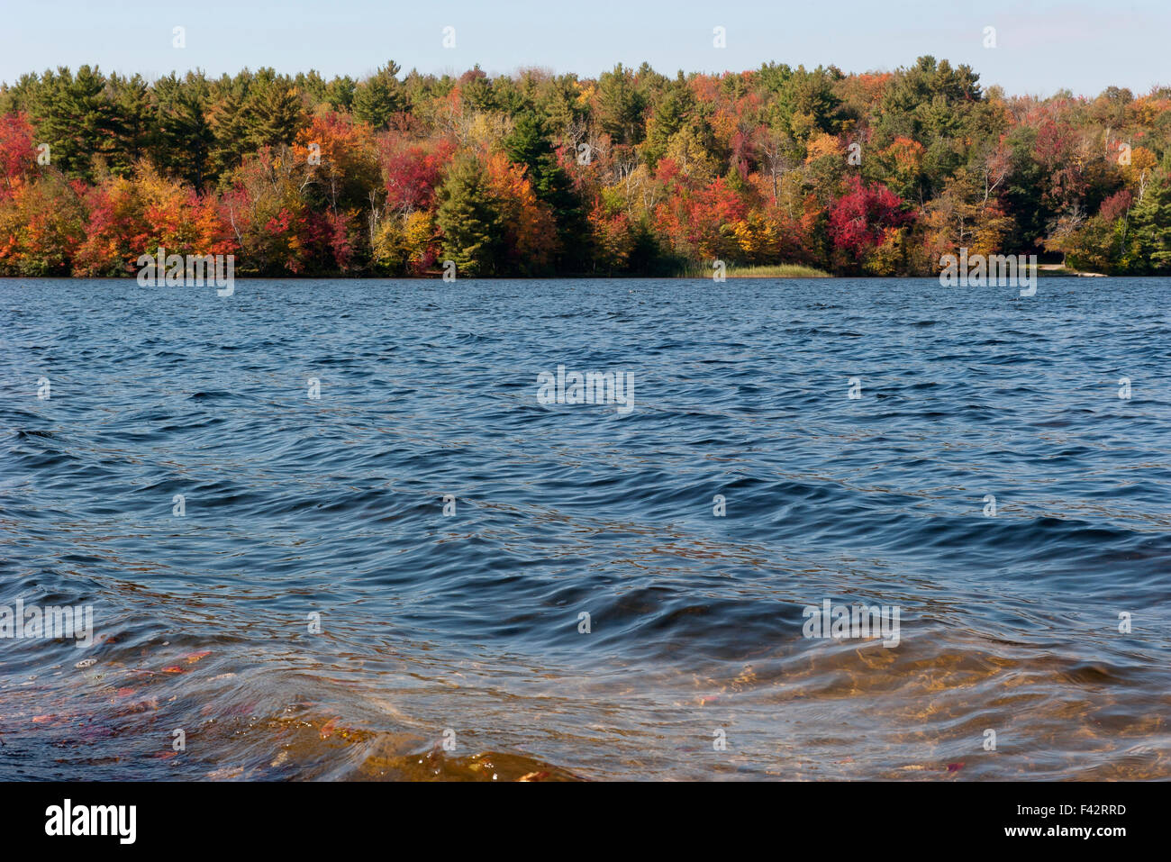 Sanfte wellen am see -Fotos und -Bildmaterial in hoher Auflösung – Alamy