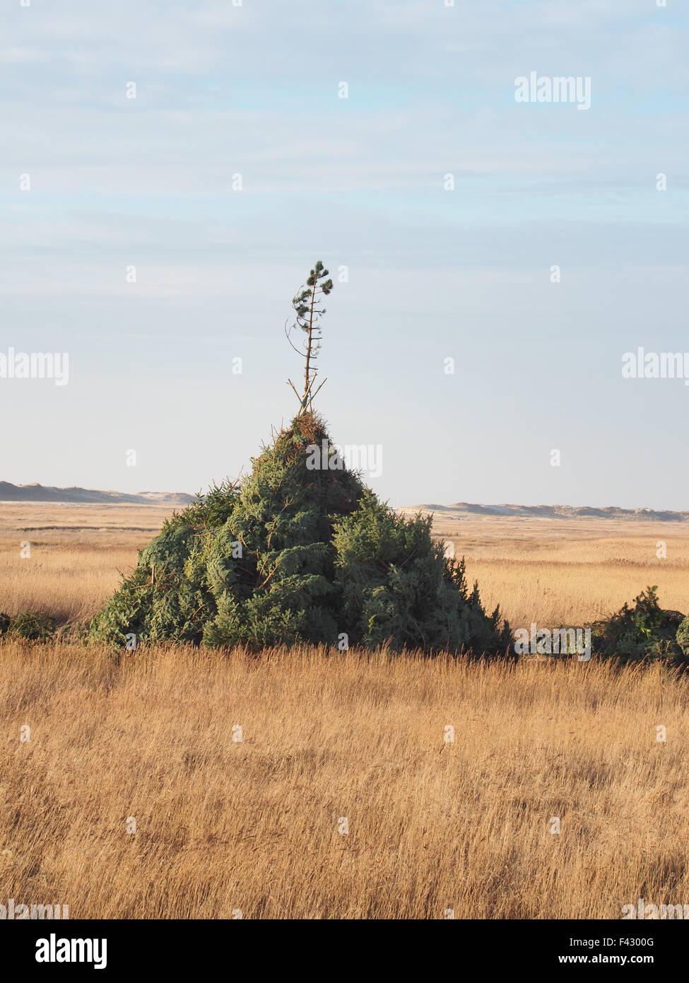 Biike feuer -Fotos und -Bildmaterial in hoher Auflösung – Alamy
