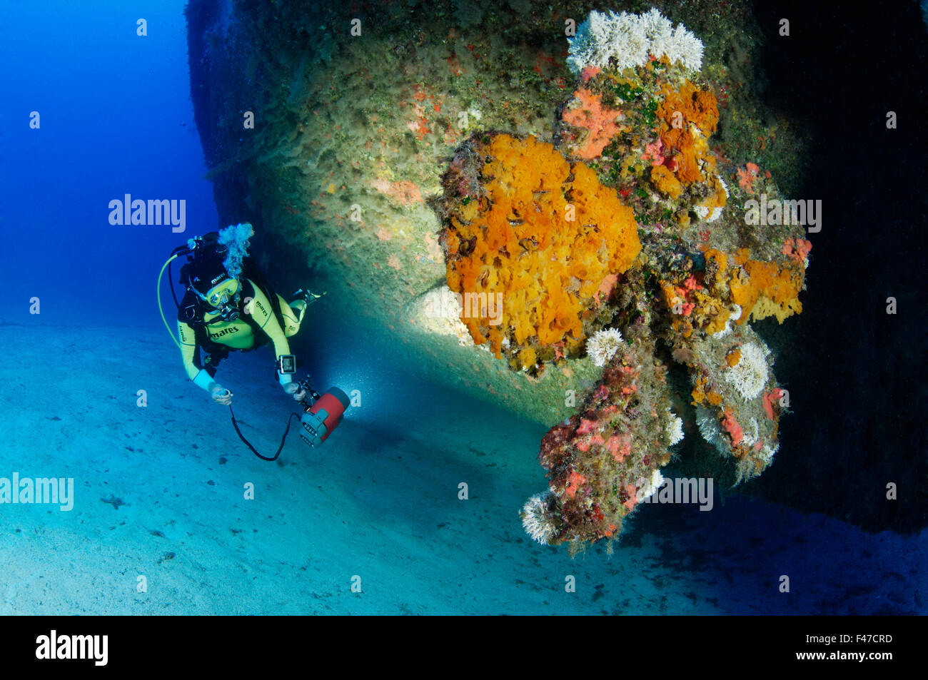 Gozo tauchen -Fotos und -Bildmaterial in hoher Auflösung – Alamy