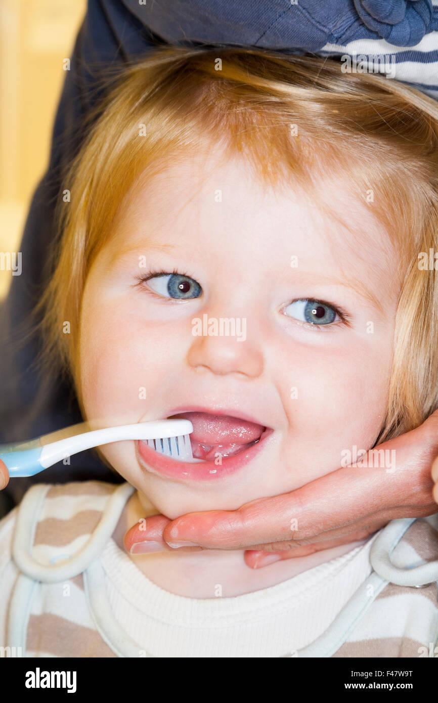 Baby Teeth Stockfotos und -bilder Kaufen - Alamy