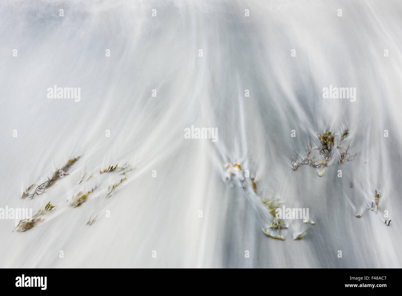 Seetang an einem Sandstrand, Senja, Norwegen Stockfotografie - Alamy