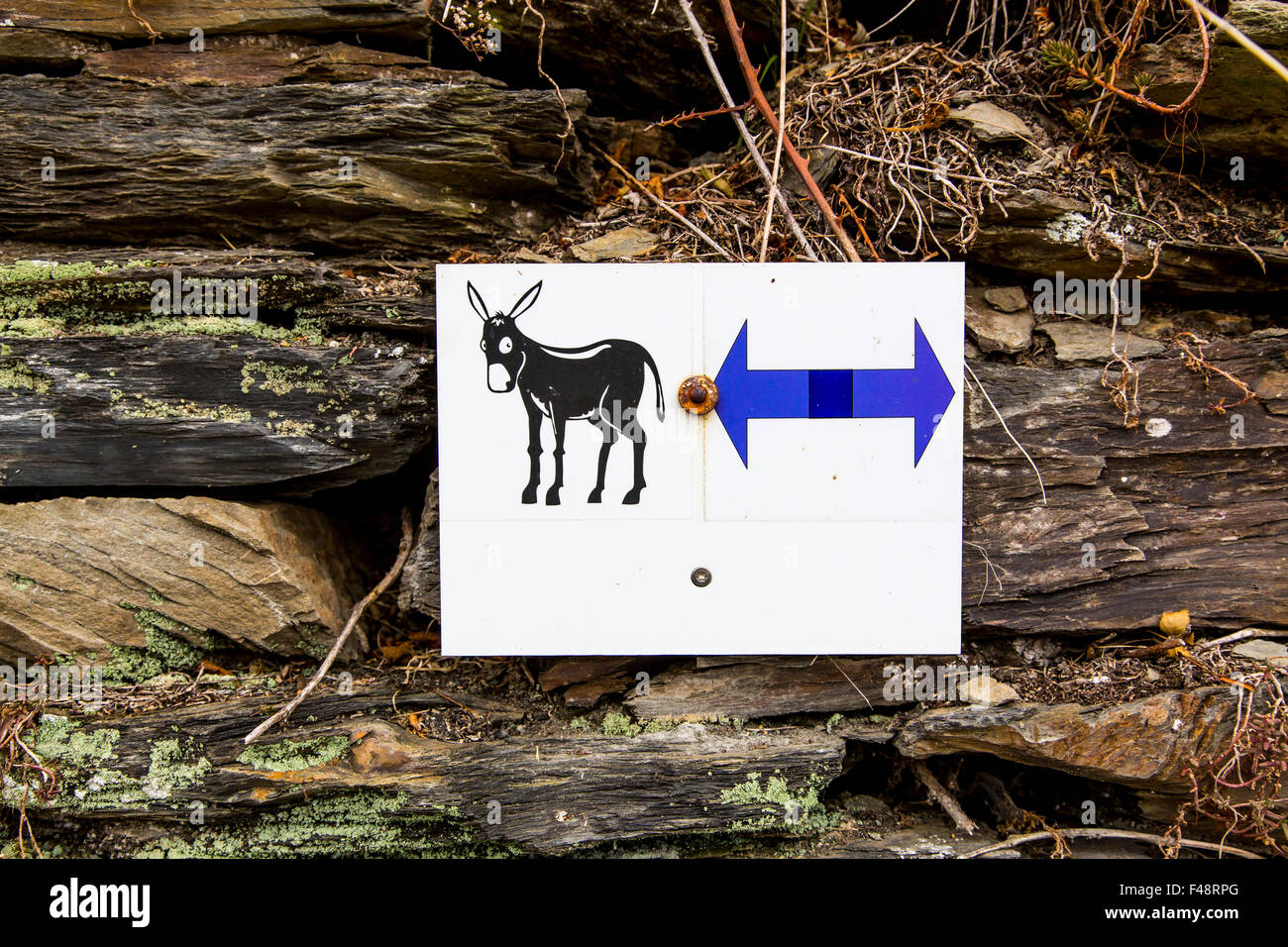 Wegweiser, Logo, Zeichen, für verschiedene Wanderrouten in der ...