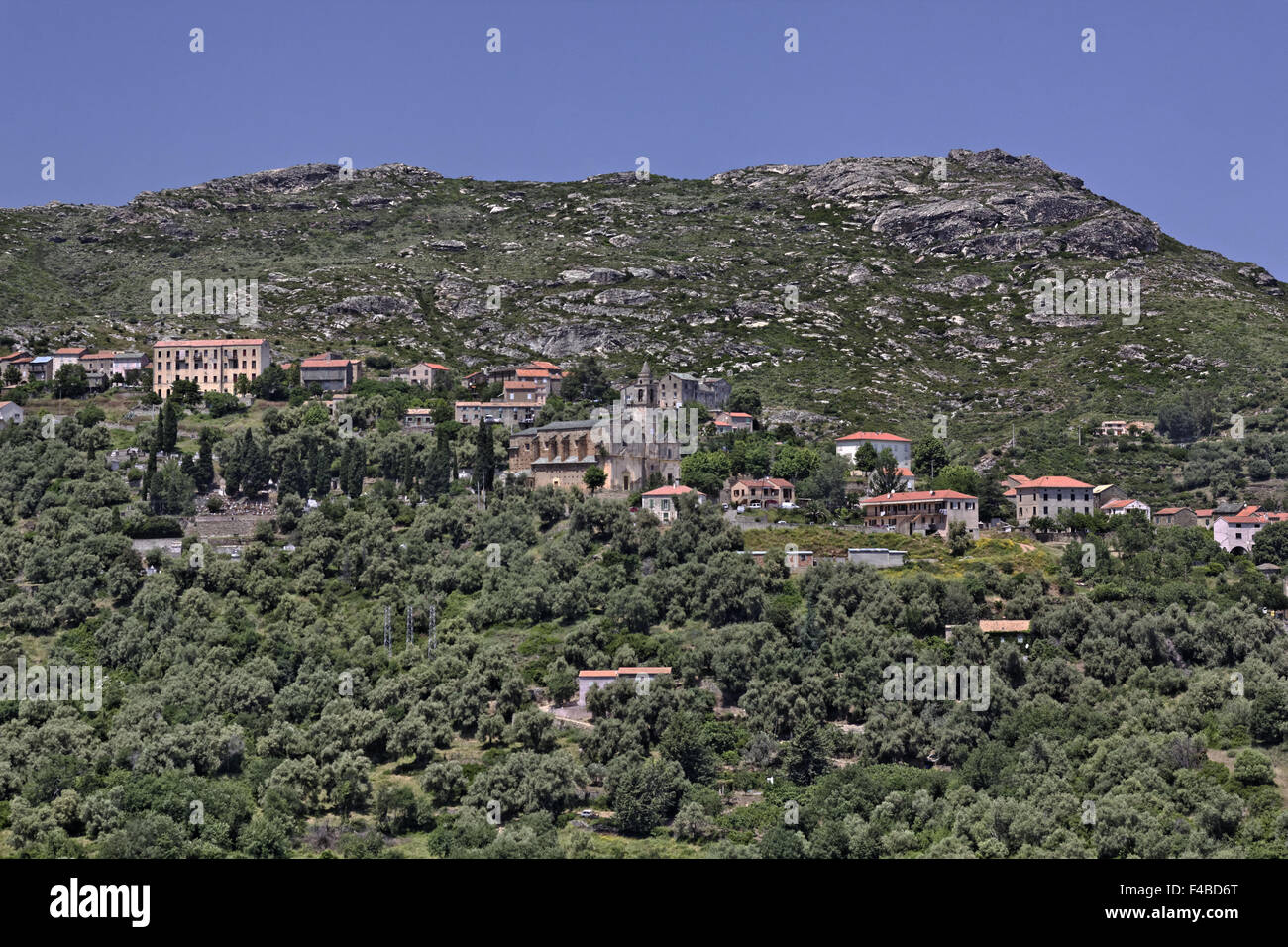 Santo pietro di tenda -Fotos und -Bildmaterial in hoher Auflösung – Alamy