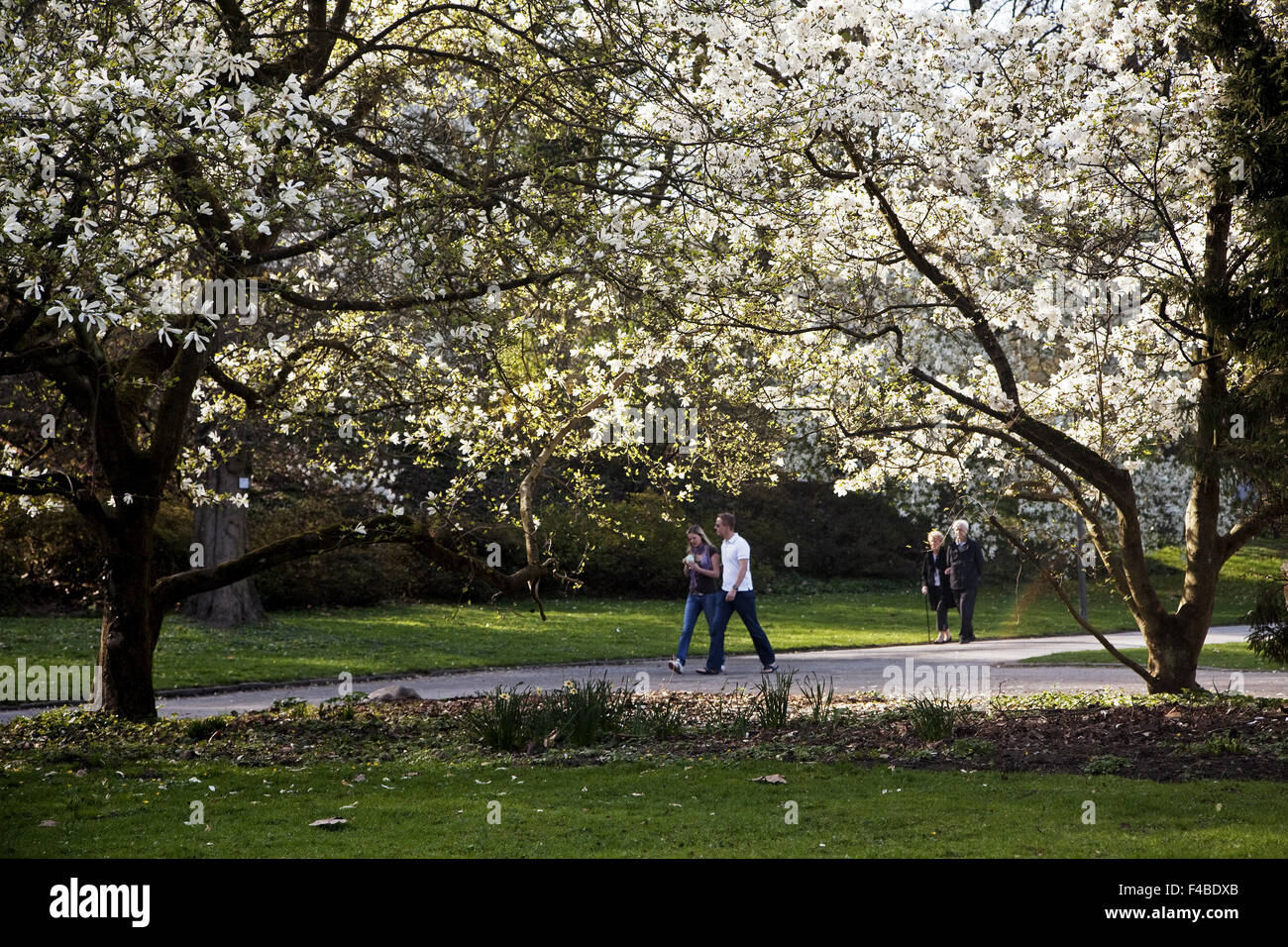 Romberg park -Fotos und -Bildmaterial in hoher Auflösung – Alamy