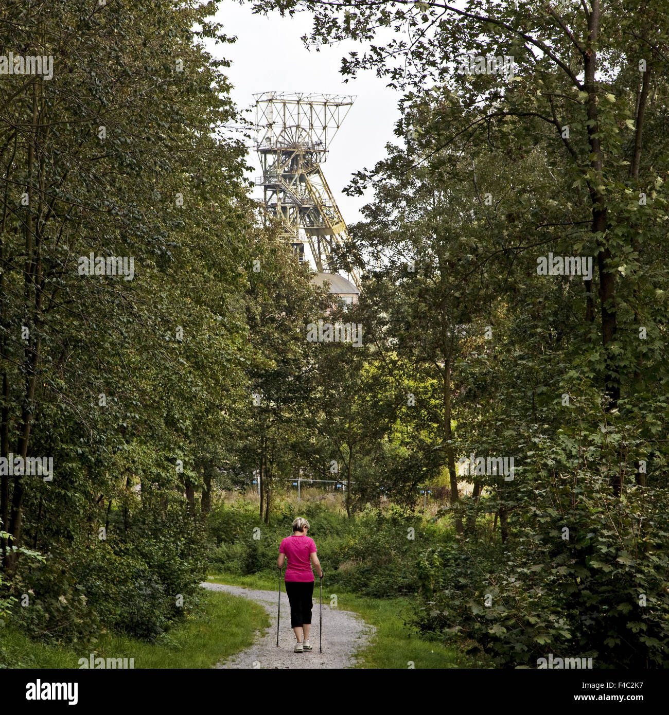 Halde ewald fortsetzung -Fotos und -Bildmaterial in hoher Auflösung – Alamy