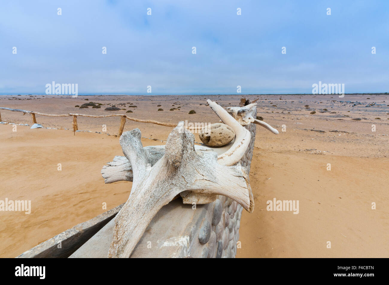 Wal-Knochen, Eingang von Springbok Wasser, Skeleton Coast Nationalpark ...