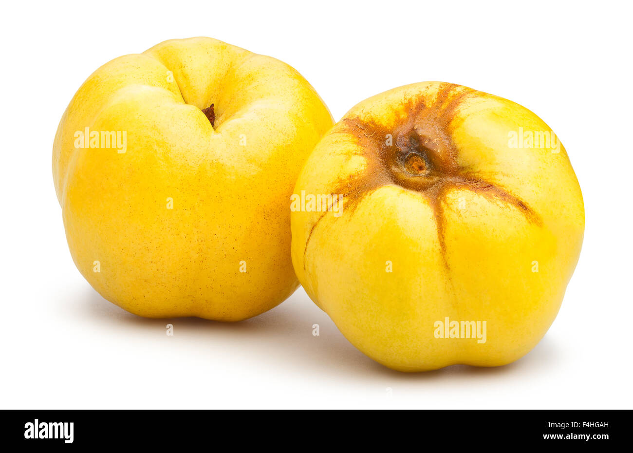 Apfel Quitten Stockfotos und -bilder Kaufen - Alamy