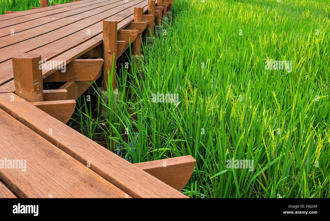 Plattform holzsteg -Fotos und -Bildmaterial in hoher Auflösung – Alamy