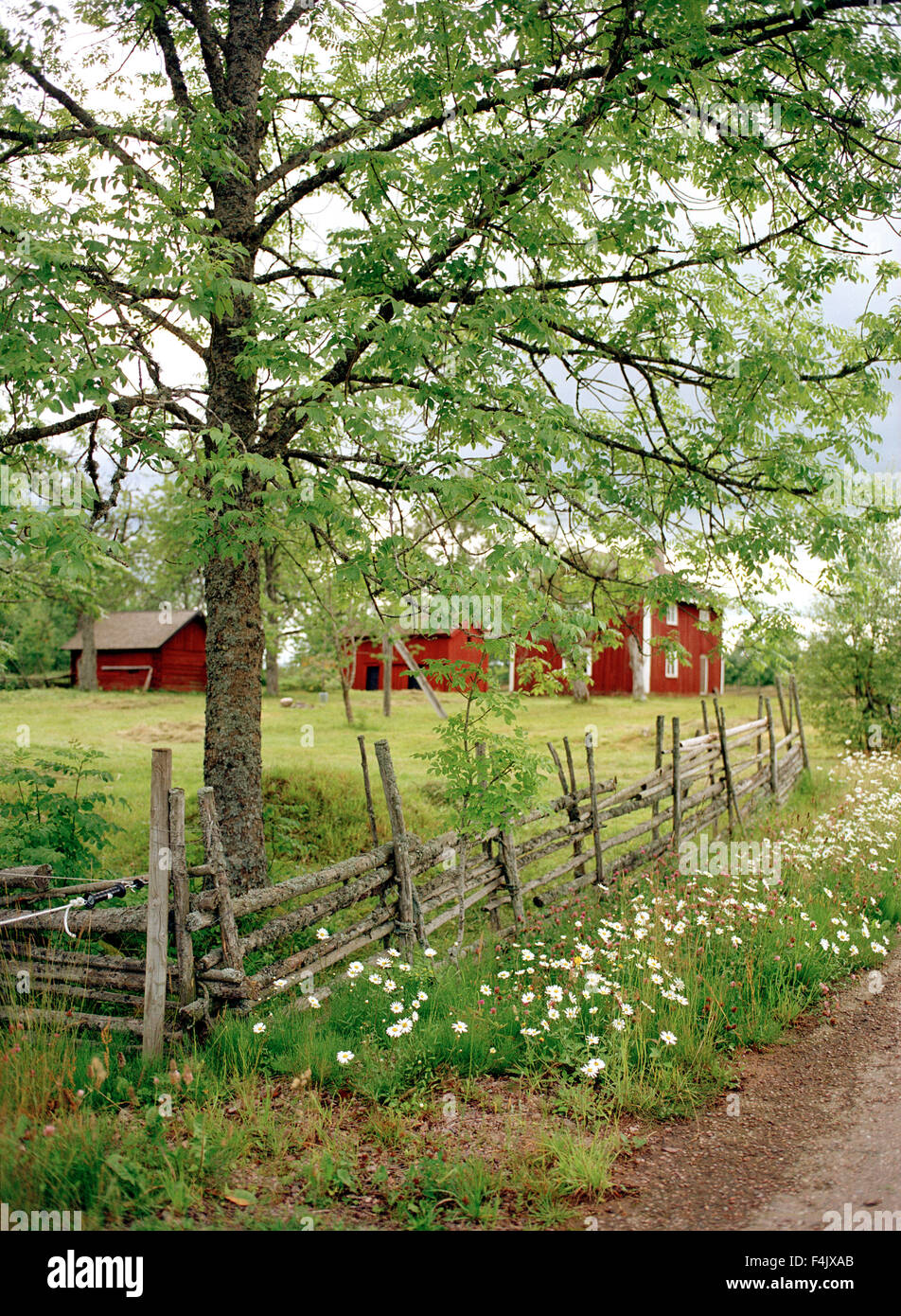 Bauernhaus im hintergrund -Fotos und -Bildmaterial in hoher Auflösung – Alamy