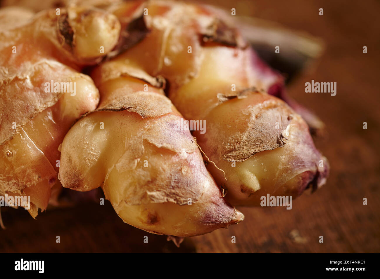 Junge wurzel -Fotos und -Bildmaterial in hoher Auflösung – Alamy