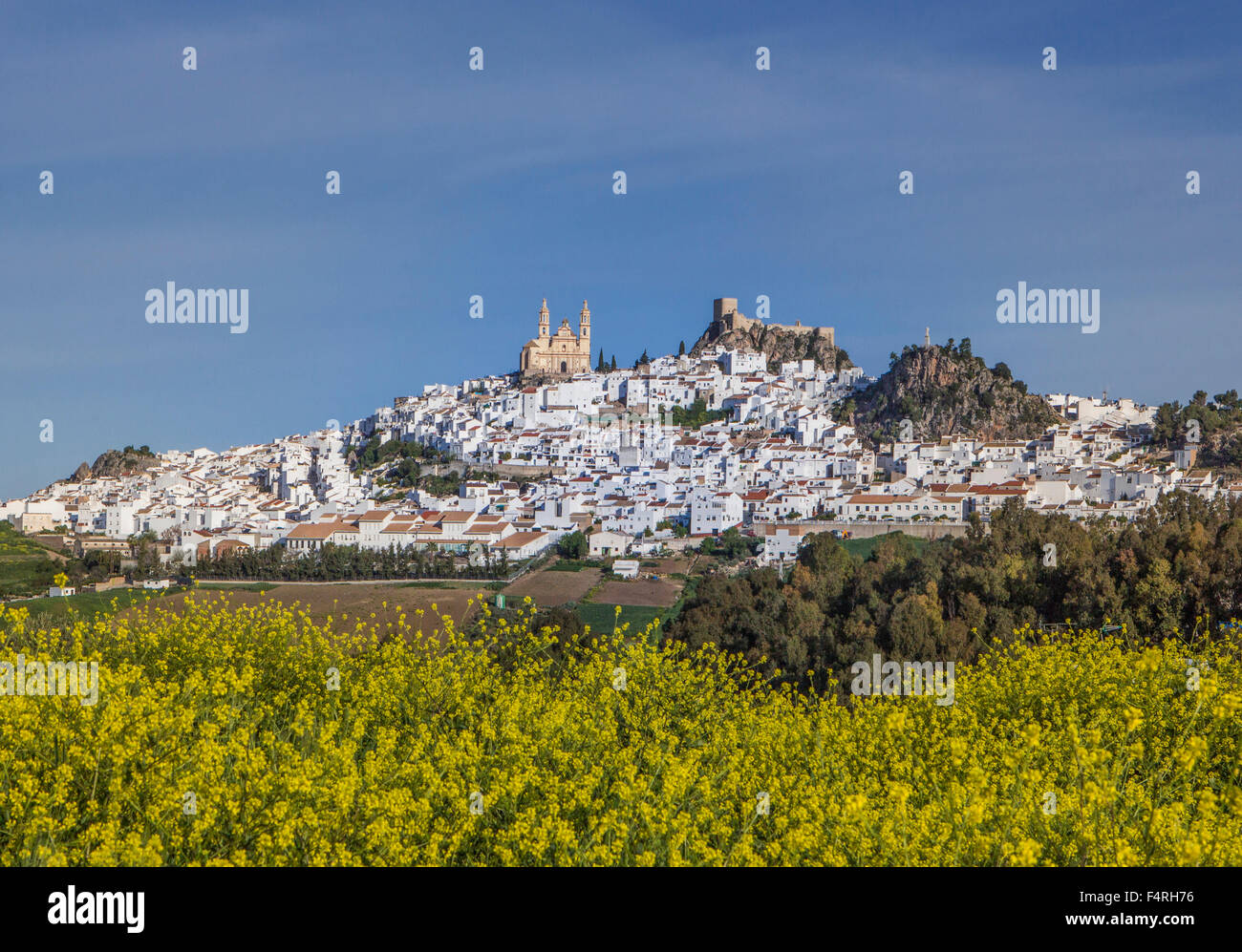 Stadt cadiz andalusien -Fotos und -Bildmaterial in hoher Auflösung – Alamy