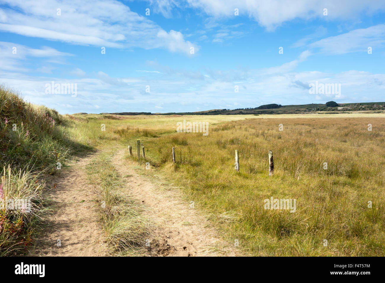 Malltraeth sands -Fotos und -Bildmaterial in hoher Auflösung – Alamy