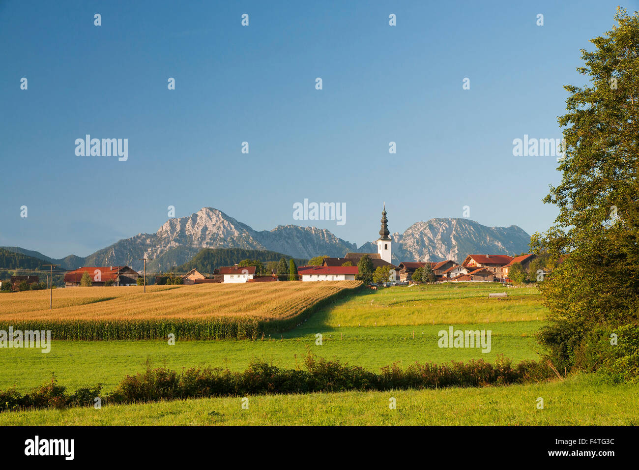 Deutschland, Bayern, Oberbayern, Berchtesgadener Land, Rupertiwinkel ...