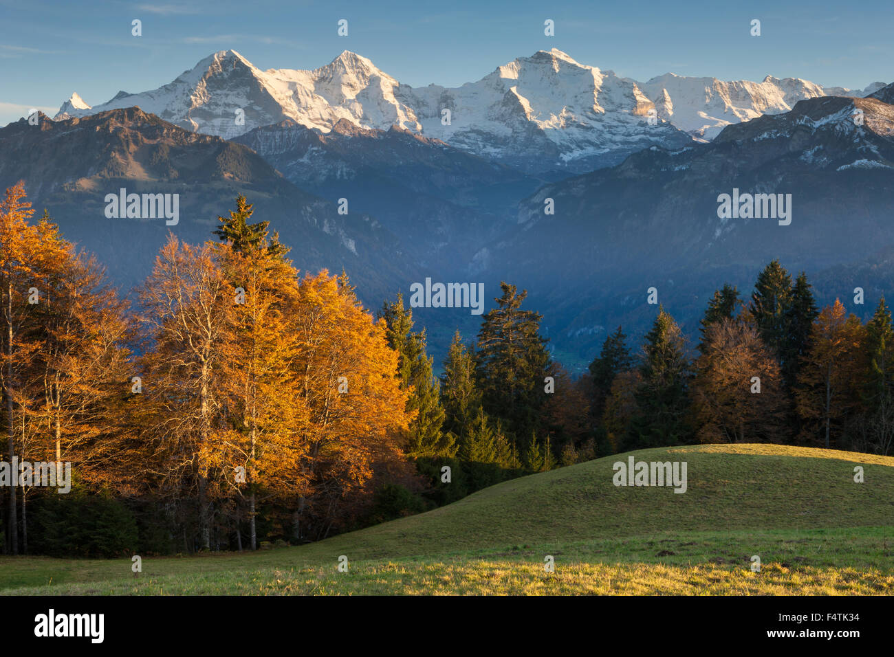 Beatenberg, Schweiz, Kanton Bern, Berner Oberland, Aussichtspunkt ...